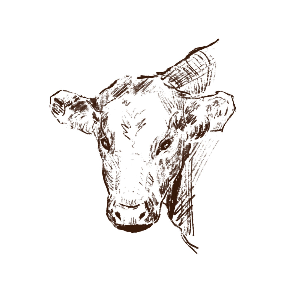 Premium Online Meat Delivery Service | Butcher's Hook