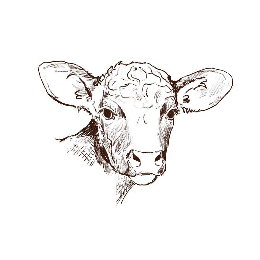 Premium Online Meat Delivery Service | Butcher's Hook